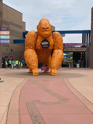 ARIZONA BOARDWALK - 84 Photos & 18 Reviews - 9500 E Via De Ventura ...