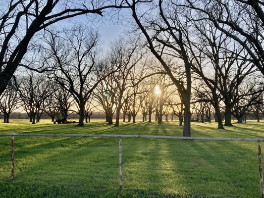 TWIN PALMS RV PARK - Updated December 2025 - 10 Reviews - 295 Quintana ...