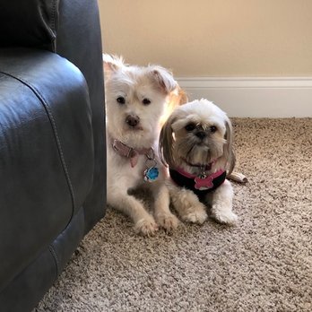 DICKSON ANIMAL CLINIC - Updated December 2025 - 29 Photos & 19 Reviews ...