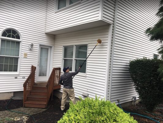 VIKING PEST CONTROL - Updated December 2024 - 61 Photos & 110 Reviews ...