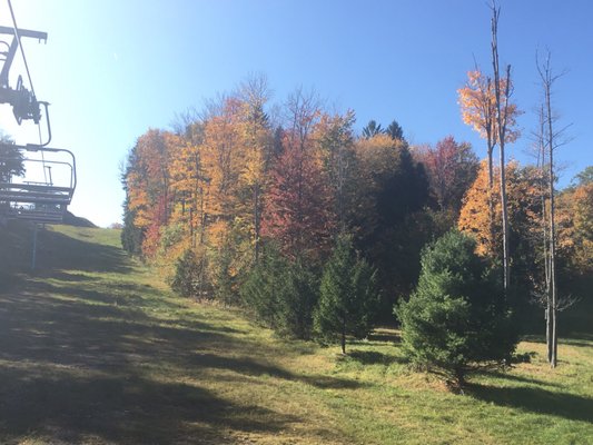 SKY HIGH ADVENTURE PARK - 63 Photos & 31 Reviews - 6557 Holiday Valley ...