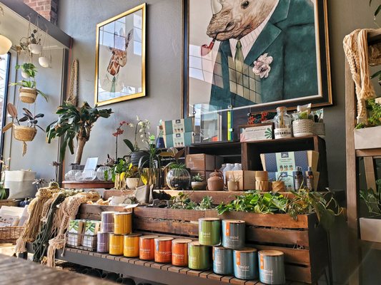 BROTHER JOE - Updated January 2025 - 415 Photos & 242 Reviews - 5629 ...