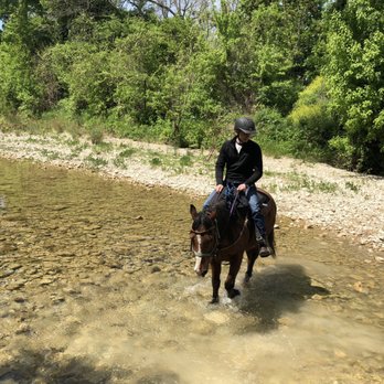 TEXAS TRAIL RIDES - Updated October 2025 - 100 Photos & 119 Reviews ...