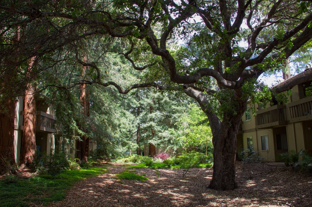 CYPRESS POINT LAKES - Updated May 2026 - 20 Photos - 505 Cypress Point ...