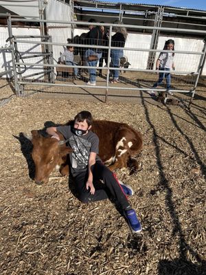 RANCHO LOS FONSECA - Updated January 2026 - 154 Photos & 50 Reviews ...