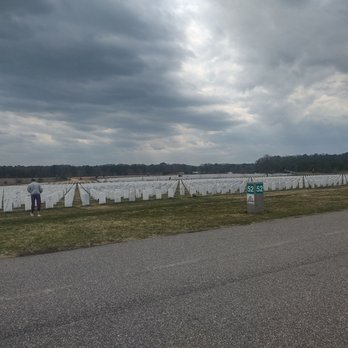 CALVERTON NATIONAL CEMETERY - Updated January 2026 - 101 Photos & 36 ...