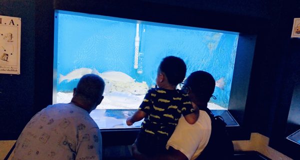 UGA MARINE EDUCATION CENTER & AQUARIUM - Updated July 2024 - 33 Photos ...