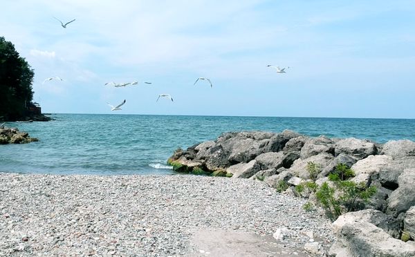 KENNETH J. SIMS PARK - Updated April 2025 - 23131 Lakeshore Blvd ...