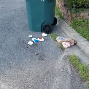 ATLANTIC WASTE SERVICES - Updated February 2025 - 19 Reviews - 125 Pine ...