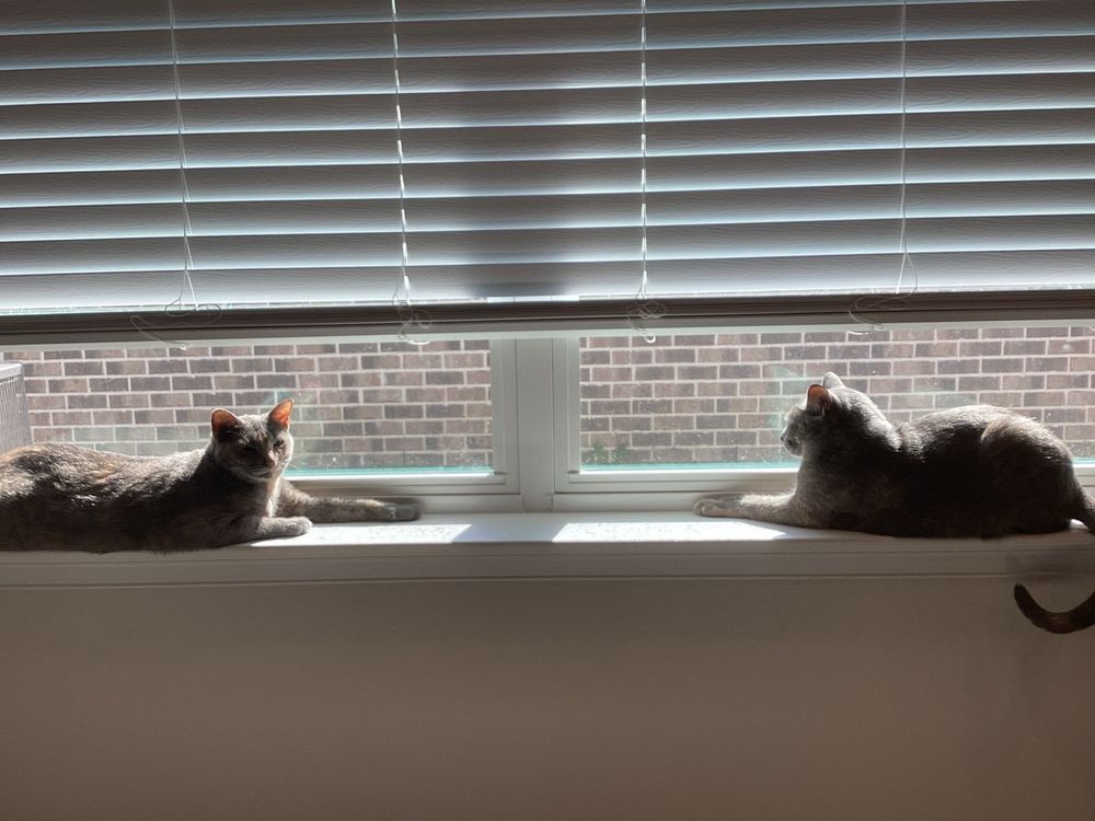 BLINDS BY JASON - Updated May 2026 - Bunnell, Florida - Shutters ...