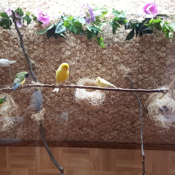 BEVY OF BIRD HOMES - Updated December 2025 - Corona, California - Pet ...