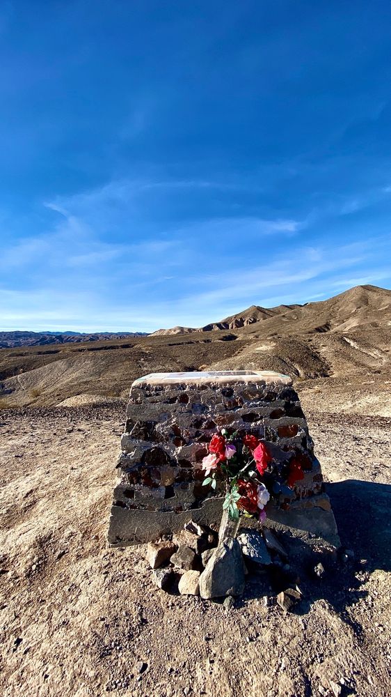 CHINA RANCH DATE FARM - 389 Photos & 104 Reviews - 8 China Ranch Rd ...