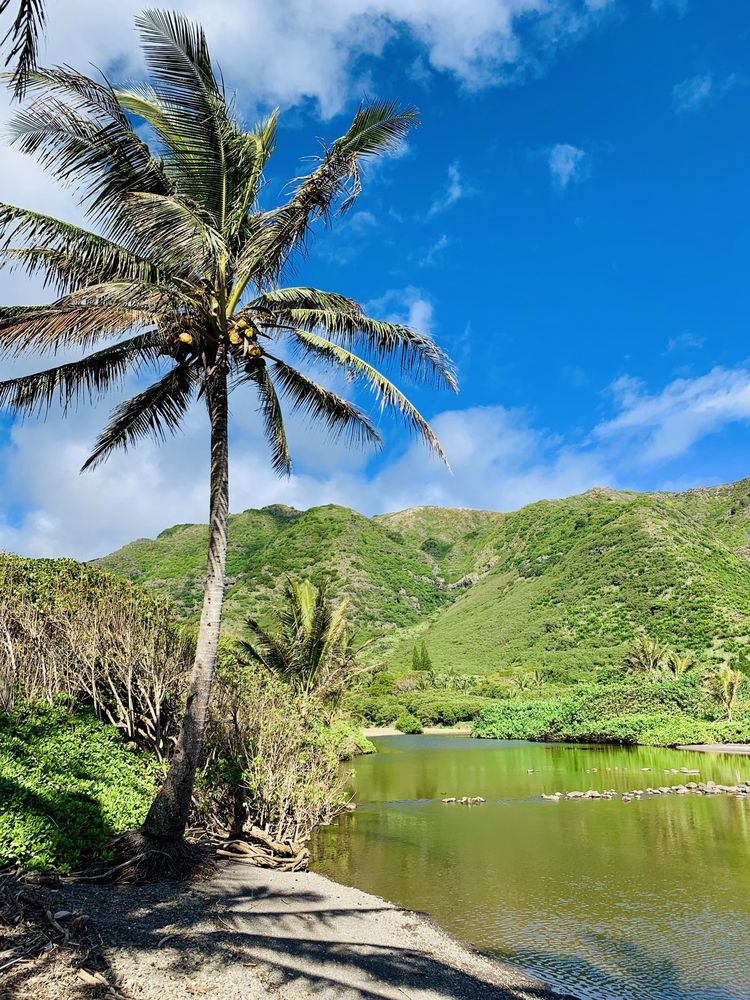 HALAWA BEACH PARK - 68 Photos - Beaches - Hwy 450 Kamehameha Hwy ...