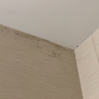 DOUBLETREE BY HILTON HOTEL SAN DIEGO - MISSION VALLEY - Updated October ...