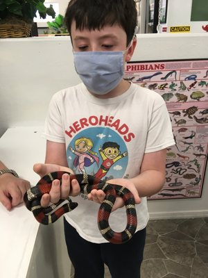 BUG & REPTILE MUSEUM - 64 Photos & 34 Reviews - 1118 Charleston Beach ...