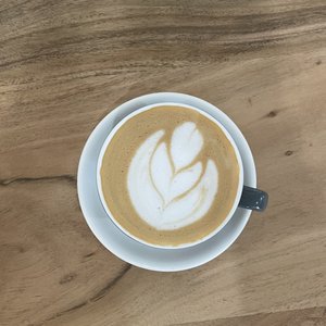 DANDY LION COFFEE - 70 Photos & 34 Reviews - Coffee & Tea - 5225 E 38th ...