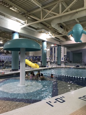 CHINN AQUATICS & FITNESS CENTER - 27 Photos & 30 Reviews - Swimming ...