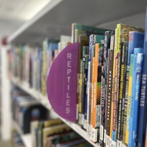 LA COUNTY LIBRARY - DIAMOND BAR LIBRARY - Updated October 2025 - 79 ...