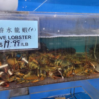 IFRESH SUPERMARKET - Updated July 2025 - 454 Photos & 59 Reviews - 555 ...