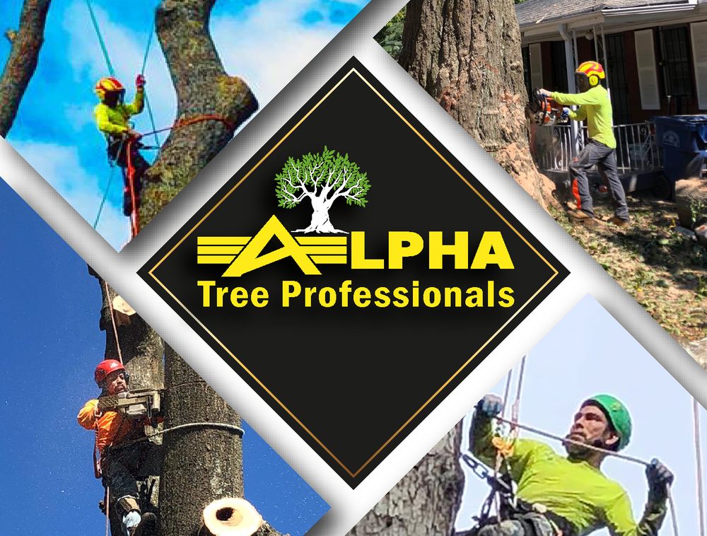 ALPHA TREE PROFESSIONALS - Updated November 2024 - Request a Quote - 12 ...