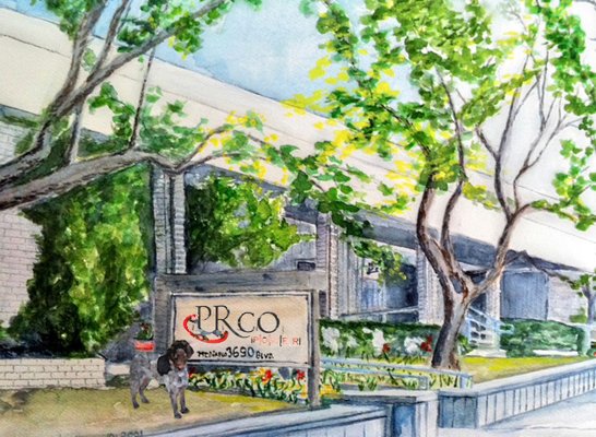 PRCO - Updated September 2025 - 10 Photos & 50 Reviews - 3690 Mount ...