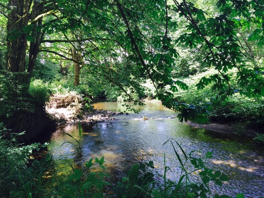 AL BORLIN PARK - Updated November 2024 - 21 Photos & 10 Reviews - 615 ...