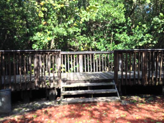 JAMES A RUTHERFORD PARK - Updated May 2024 - 91 Photos - 600 NE 24th St ...