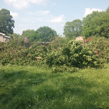 KELLY CROCKETT’S TREE CARE - Updated June 2026 - 17 Reviews - 4810 E ...