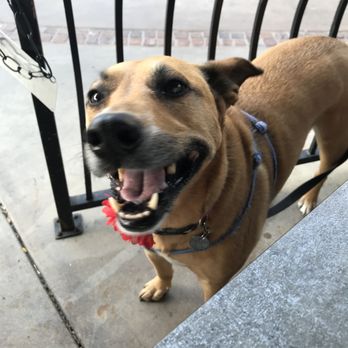 CIVICO 1845 - Updated July 2024 - 3503 Photos & 3178 Reviews - 1845 ...