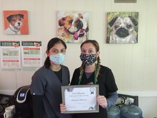 GREEN VALLEY VETERINARY CLINIC - Updated November 2024 - 122 Photos ...