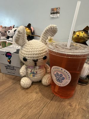 TOE BEANS AND DREAMS ADOPTION CAFE - Updated September 2025 - 212 ...