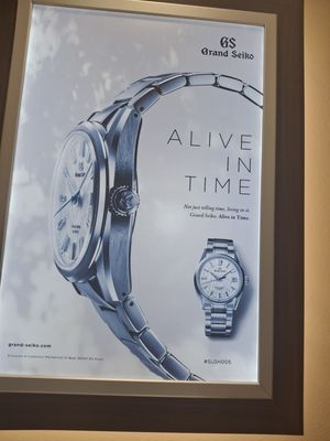 ORLANDO WATCH CO - Updated March 2026 - 22 Photos & 39 Reviews - 329 N ...