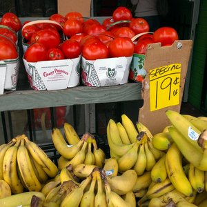 CARLOAD ON THE BEACH - Updated September 2024 - 23 Reviews - 2038 Queen ...