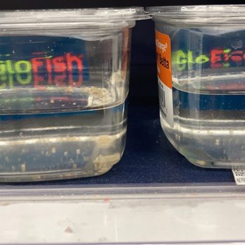 MEIJER - Updated December 2025 - 102 Photos & 54 Reviews - 29505 Mound ...