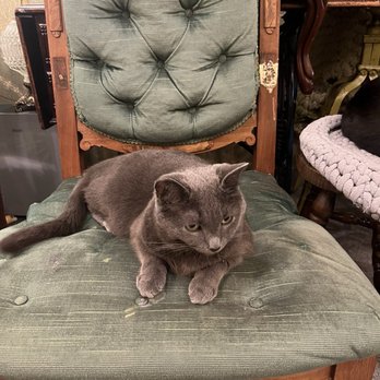 CLEOCATRA CAFE - Updated December 2025 - 13 Photos - 859 Portage Avenue ...