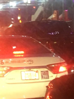 METROCAB - Updated December 2025 - 208 Reviews - 84 Braintree St ...