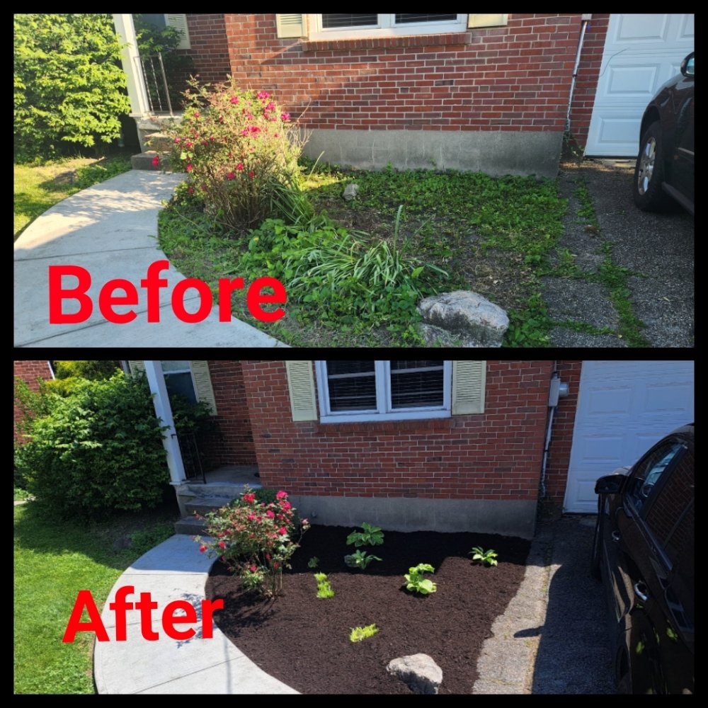 VASQUEZ TREE SERVICE & LANDSCAPING - Updated December 2025 - 55 Photos ...