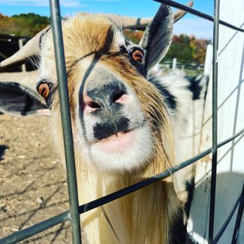 HANOVER VEGETABLE FARM - Updated January 2026 - 42 Photos & 26 Reviews ...