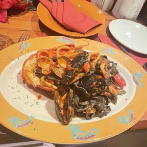 MARCELLINO RISTORANTE - 413 Photos & 530 Reviews - 7114 E Stetson Dr ...