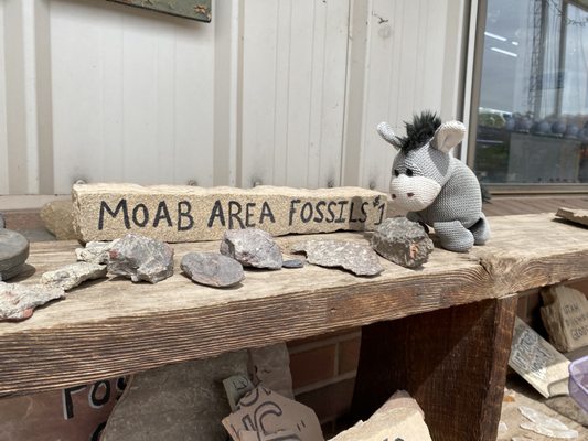 MOAB ROCK SHOP - Updated May 2024 - 194 Photos & 71 Reviews - 600 N ...