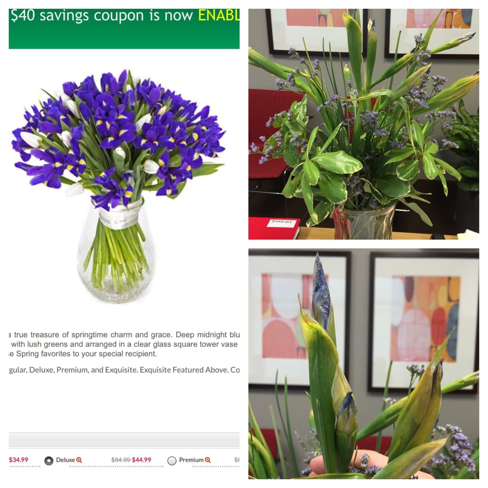 WESLEY BERRY FLOWERS - Updated July 2025 - 12 Reviews - Dunwoody ...