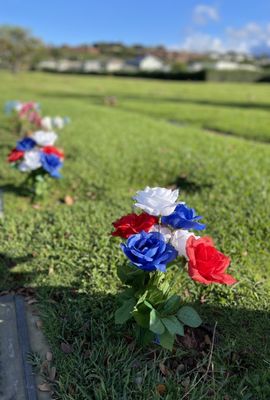 DIAMOND HEAD MEMORIAL PARK - Updated December 2025 - 159 Photos & 24 ...