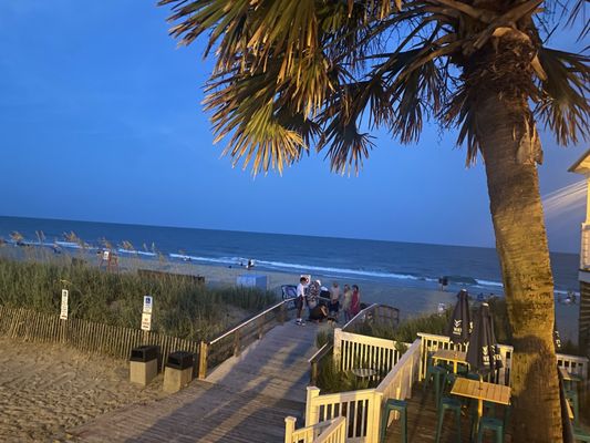 CONCH CAFE - Updated January 2026 - 290 Photos & 412 Reviews - 1870 N ...