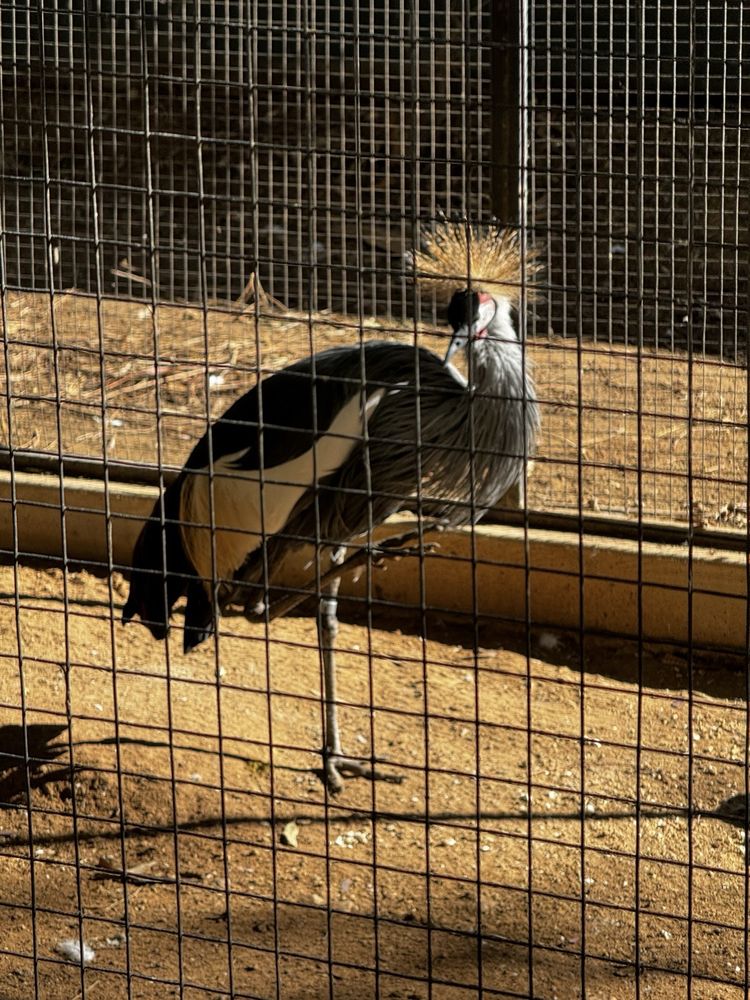 WILDLIFE WORLD ZOO, AQUARIUM & SAFARI PARK - Updated December 2024 ...