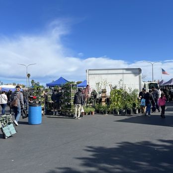 Cypress Swap Meet - Trusted Since 1969 - Updated July 2025 - 224 Photos ...