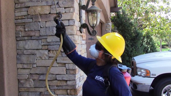 CORKY’S PEST CONTROL - Updated December 2024 - 33 Photos & 558 Reviews ...