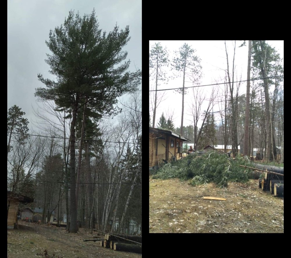CAMERON TREE SERVICE - Updated October 2025 - Petawawa, Ontario - Tree ...