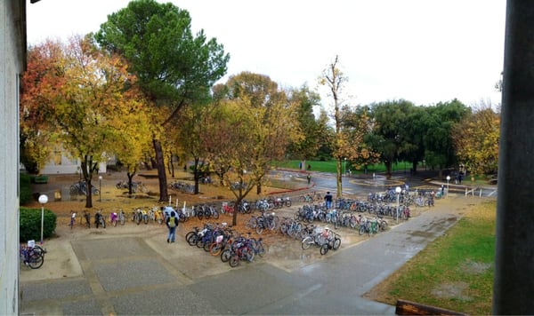 UC DAVIS OLSON HALL - Updated December 2025 - University Of California ...