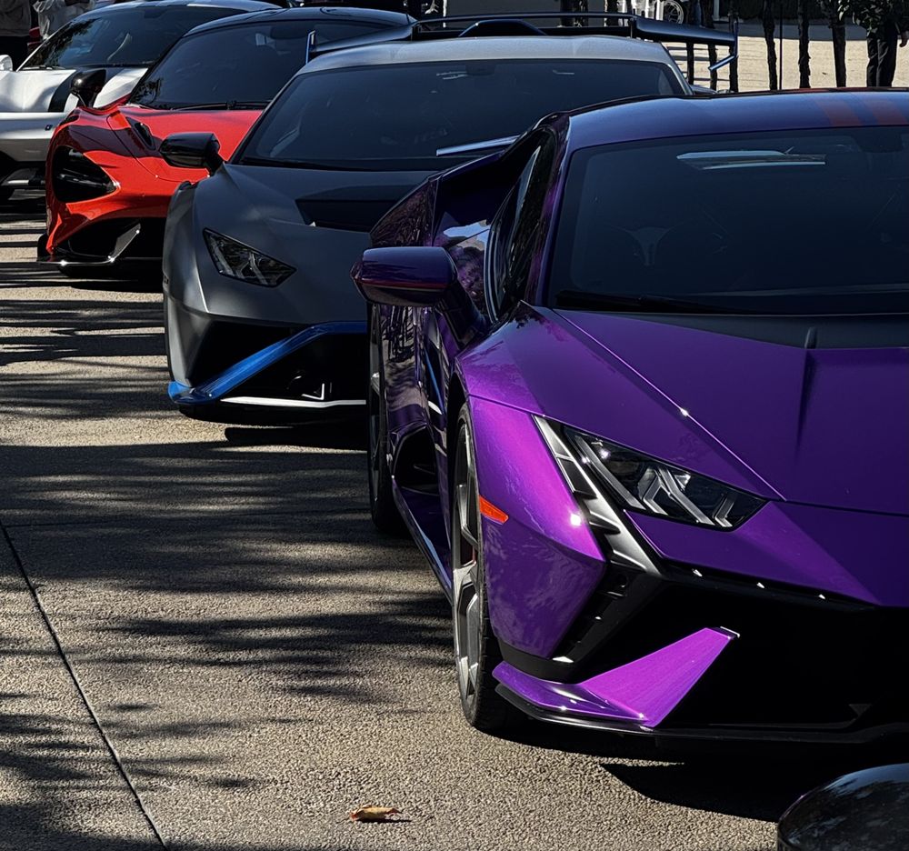 SOS STUDIOS EXOTICS - Updated April 2025 - 32 Photos - Beverly Hills ...