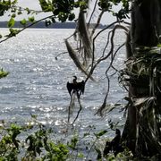 CIRCLE B BAR RESERVE - 543 Photos & 107 Reviews - 4399 Winter Lake Rd ...